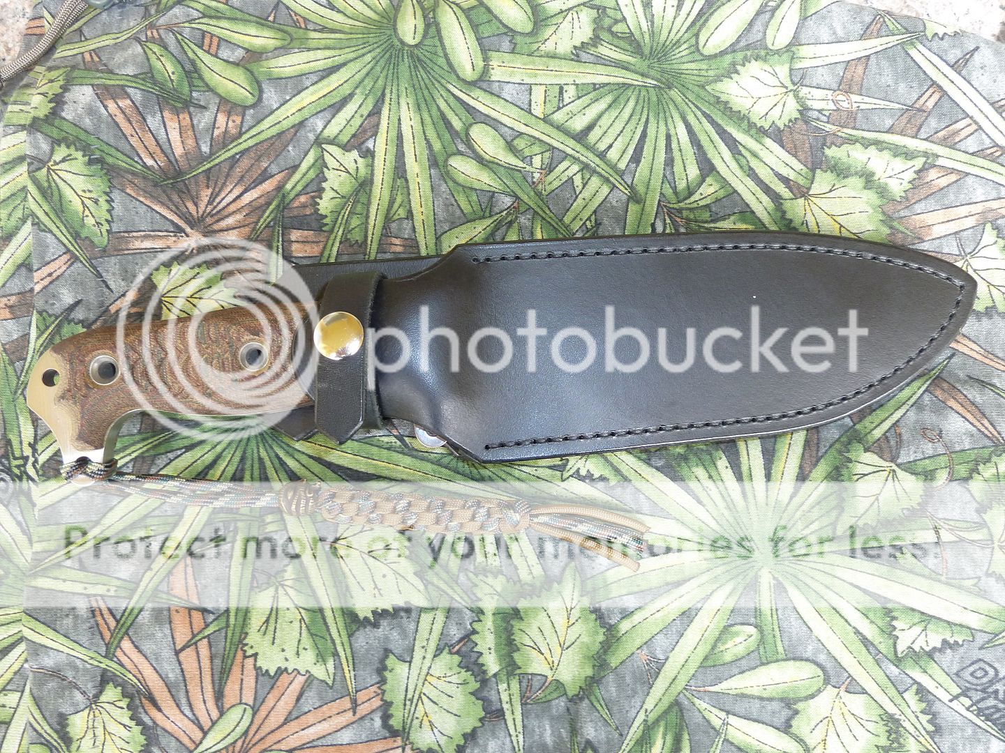 WTS BUSSE FAT ASH 1 with Black Chuddy Bear Sheath | BladeForums.com