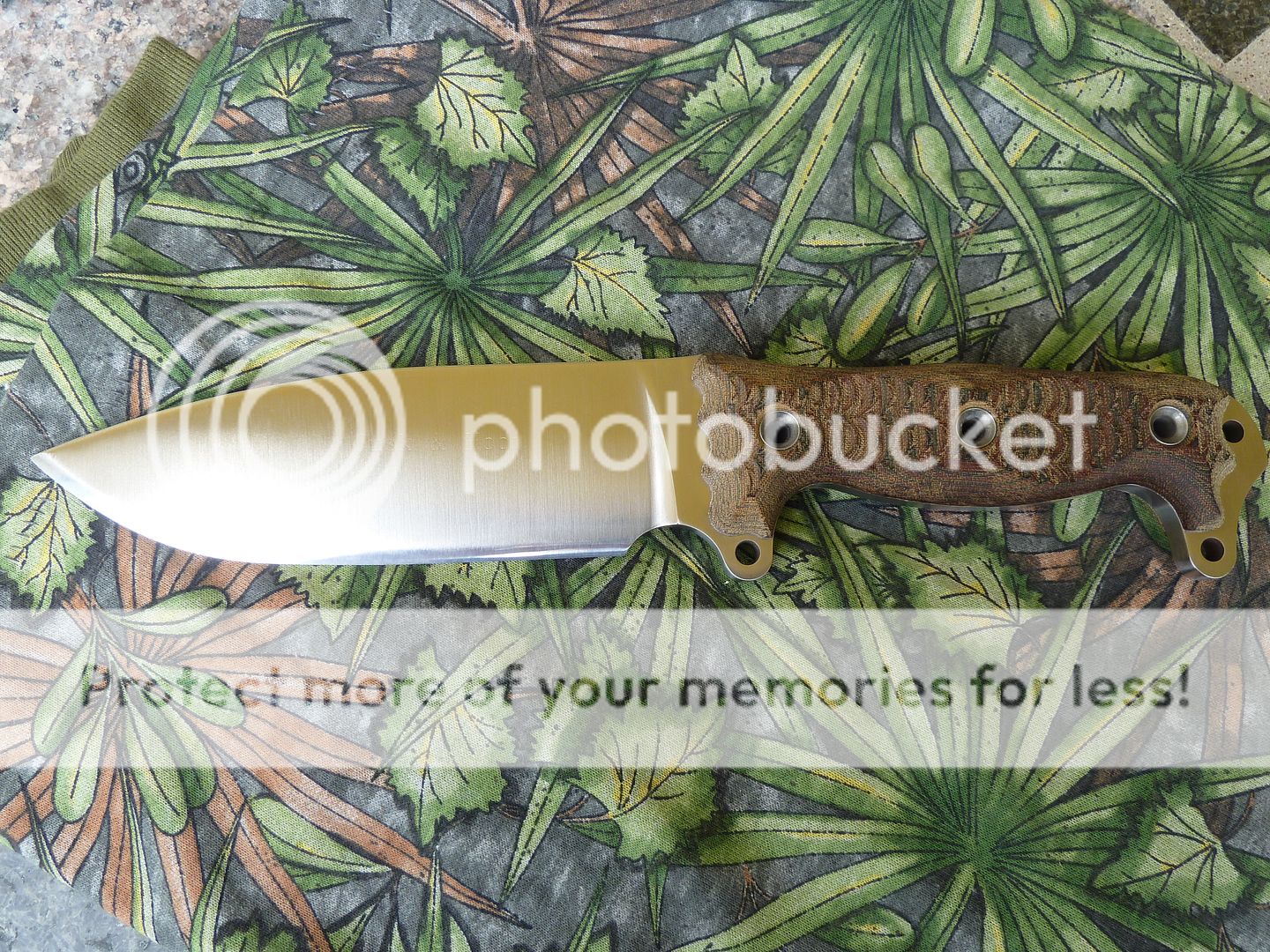 WTS BUSSE FAT ASH 1 with Black Chuddy Bear Sheath | BladeForums.com