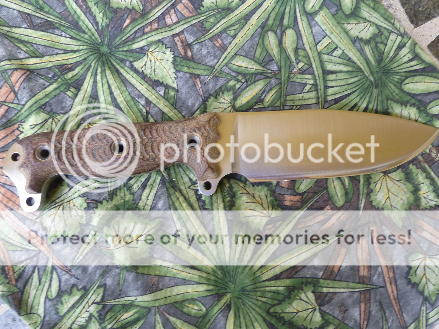 WTS BUSSE FAT ASH 1 with Black Chuddy Bear Sheath | BladeForums.com