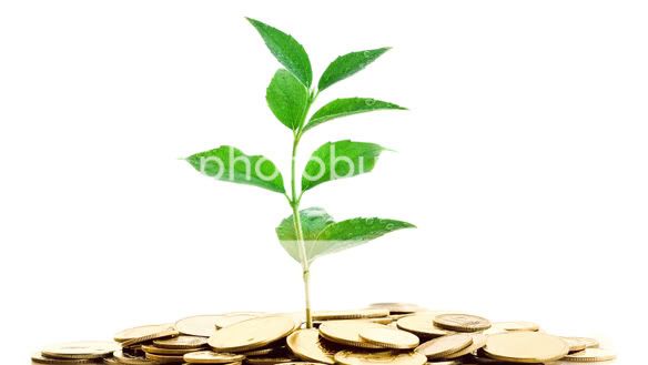 Growing money with investments and reaping cash | Keys to Financial ...